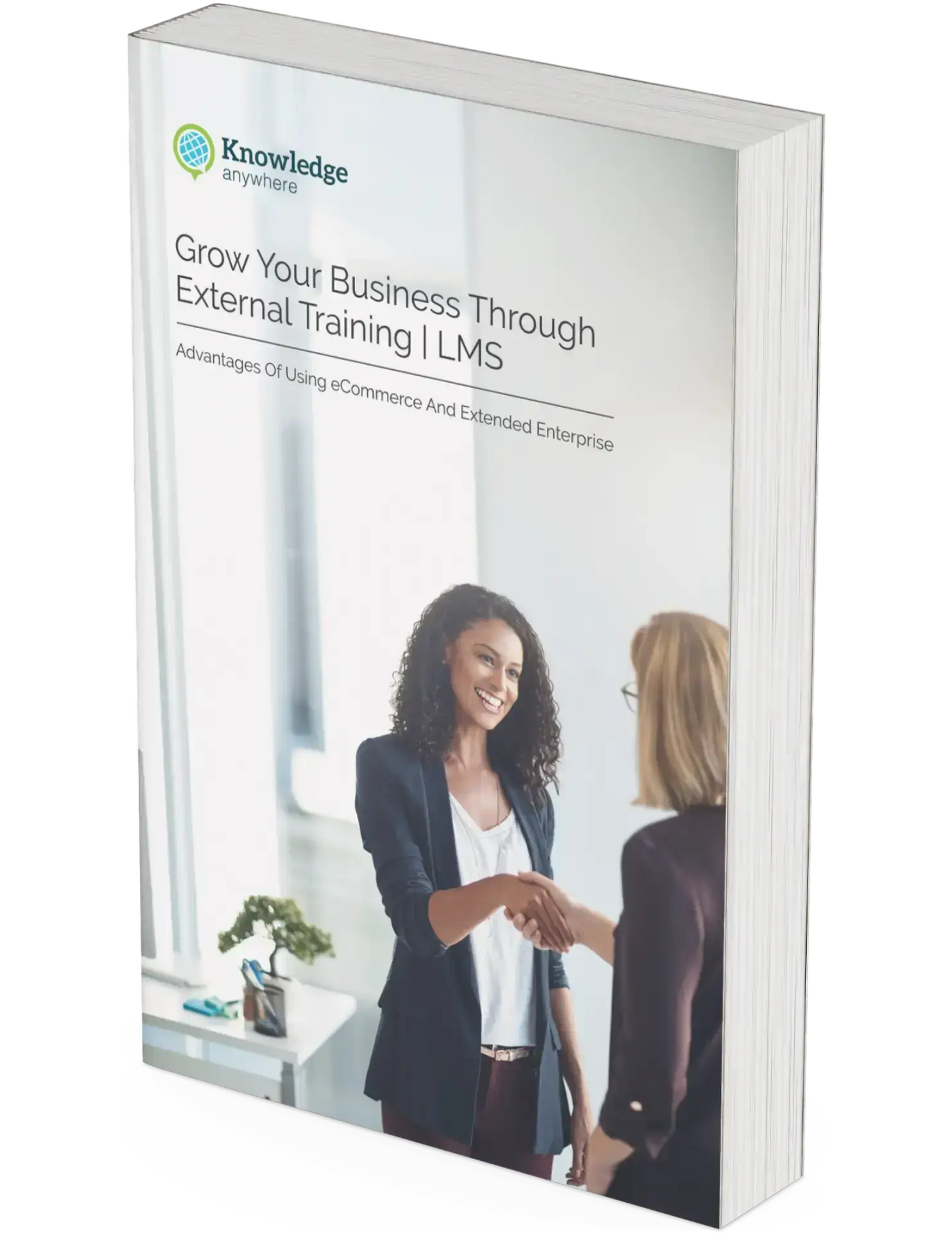 Grow Your Business Through External Training | Downloadable Training Guide